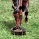 ProForce Fuel Website