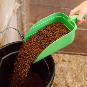 ProForce Fuel Website